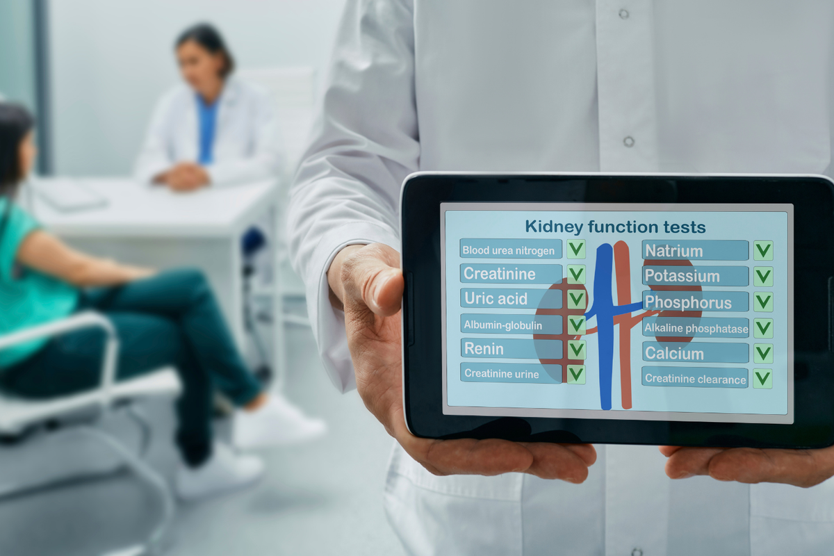Kidney Function Test: Guide to Tests & Healthy Kidneys · Alerna Kidney ...