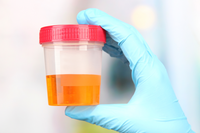 Exercises to Improve Urine Flow Naturally · Alerna Kidney Health